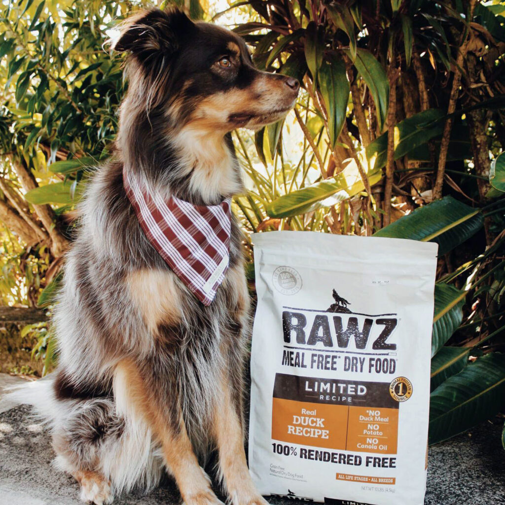 Premium Natural Pet Food for Dogs & Cats | RAWZ