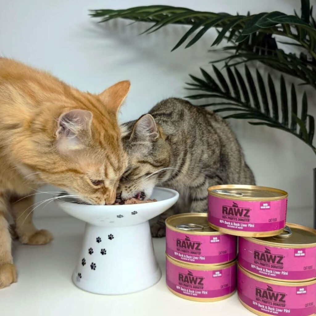 Premium Natural Pet Food for Dogs & Cats | RAWZ